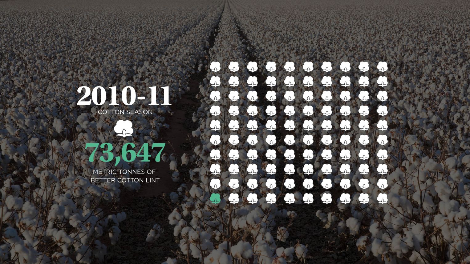 Better Cotton Initiative